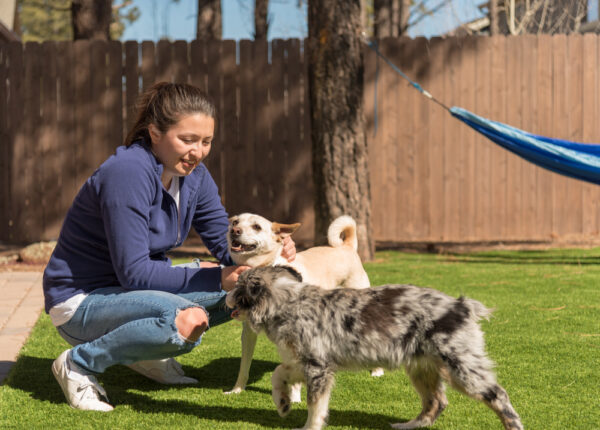 Design Safe and Welcoming Outdoor Spaces for Pets and People | Fear ...