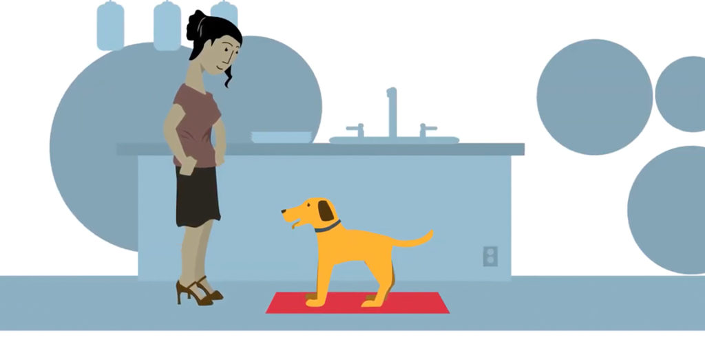 Fear Free Happy Homes for Pets