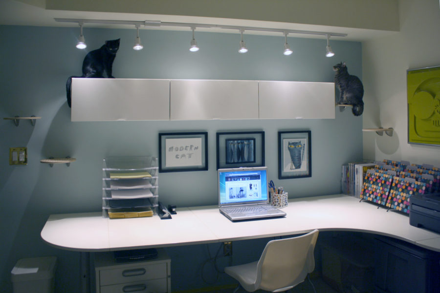Cats on High: Maximize Vertical Space | Fear Free Happy Homes