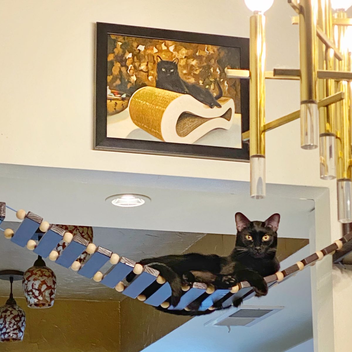 Cats on High: Maximize Vertical Space | Fear Free Happy Homes