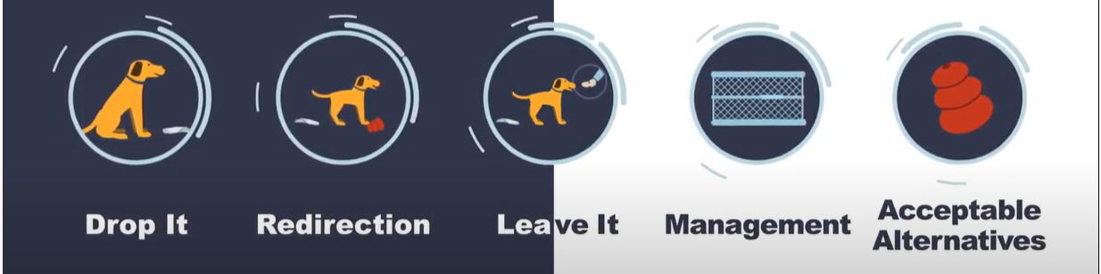 Behavior Problem Solving | Fear Free Happy Homes