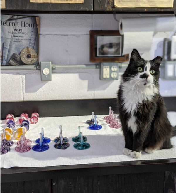 Cats Wanted; Dogs Need Not Apply | Fear Free Happy Homes