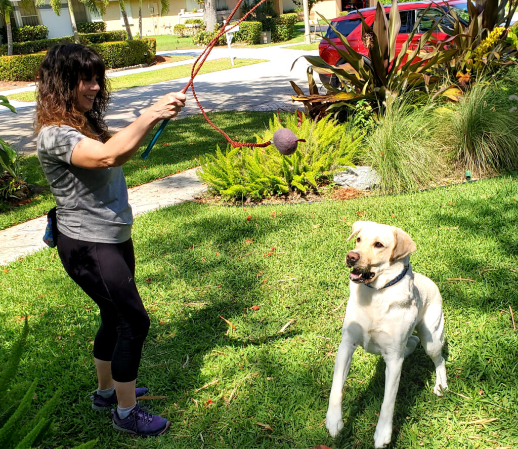 Flirt Your Way to a Tired Dog | Fear Free Happy Homes