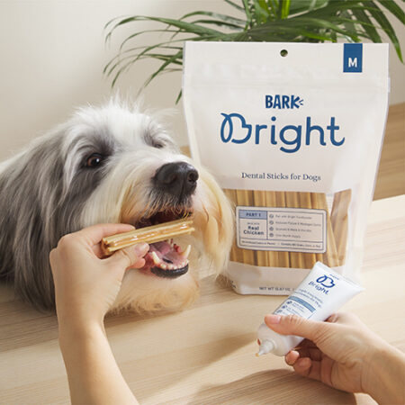 BARK Bright Dental Kit | Fear Free Happy Homes