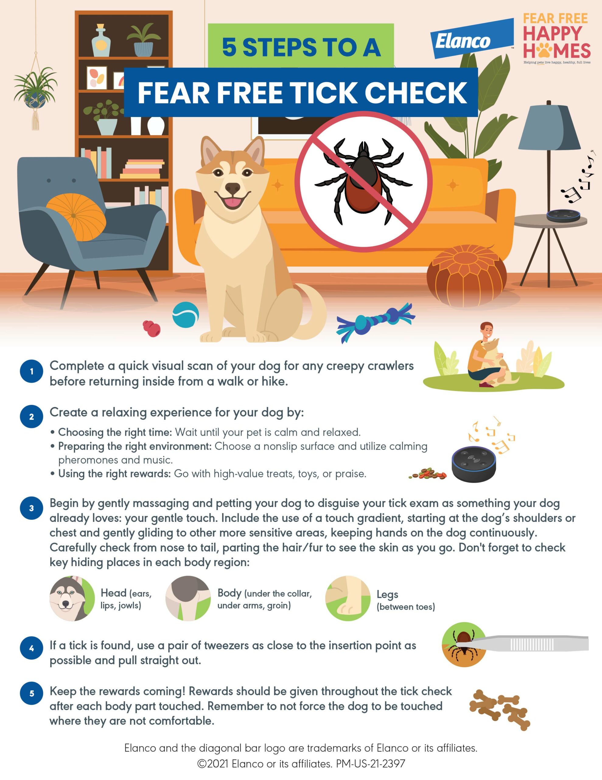 How to Check Your Dog for Ticks | Fear Free Happy Homes