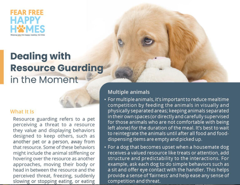 Resource Guarding Tips: How to Respond in the Moment | Fear Free Happy ...