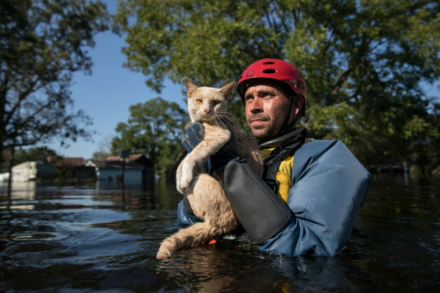 Fires, Floods, Hurricanes: Are You Prepared to Protect Your Pet During ...