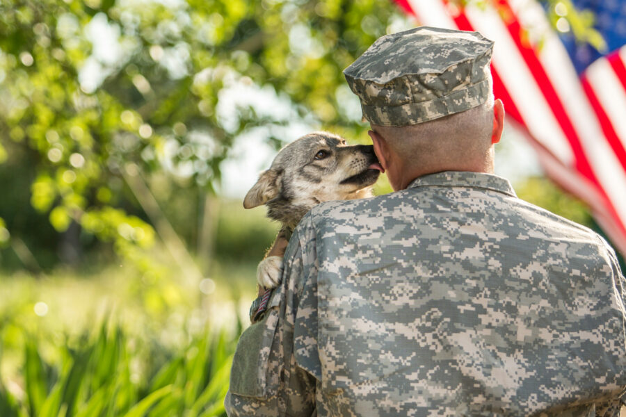 Second Chance at Life: How Service Dogs Help Veterans | Fear Free Happy ...