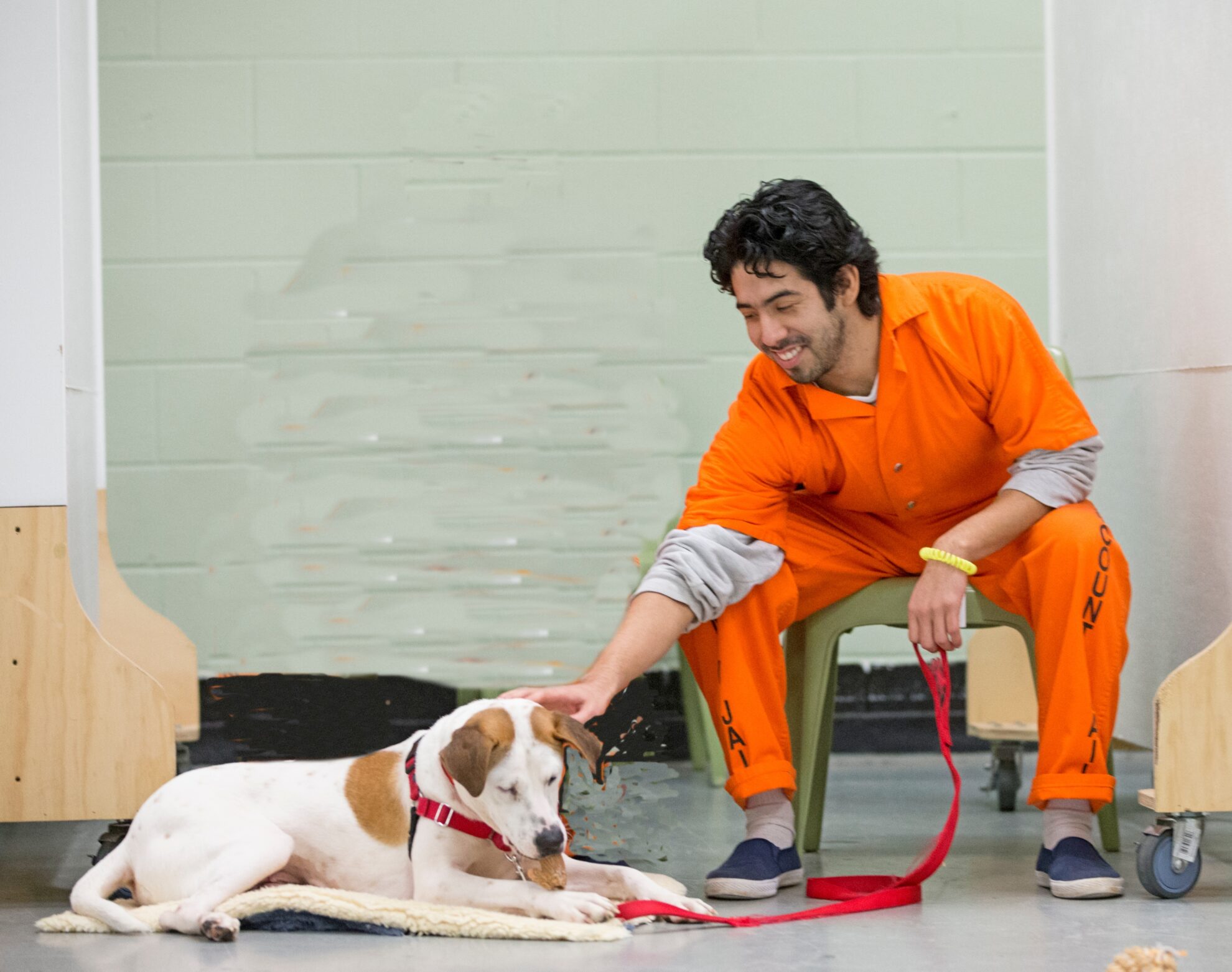 Canine Cellmates Program a Win-Win for Shelter Dogs and Incarcerated ...