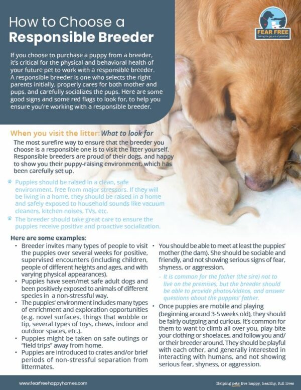 How to Choose a Responsible Breeder | Fear Free Happy Homes