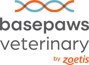 Module 2: Enrichment for Dogs | Fear Free Happy Homes