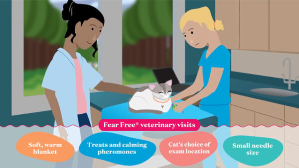 Feline Wellness | Fear Free Happy Homes