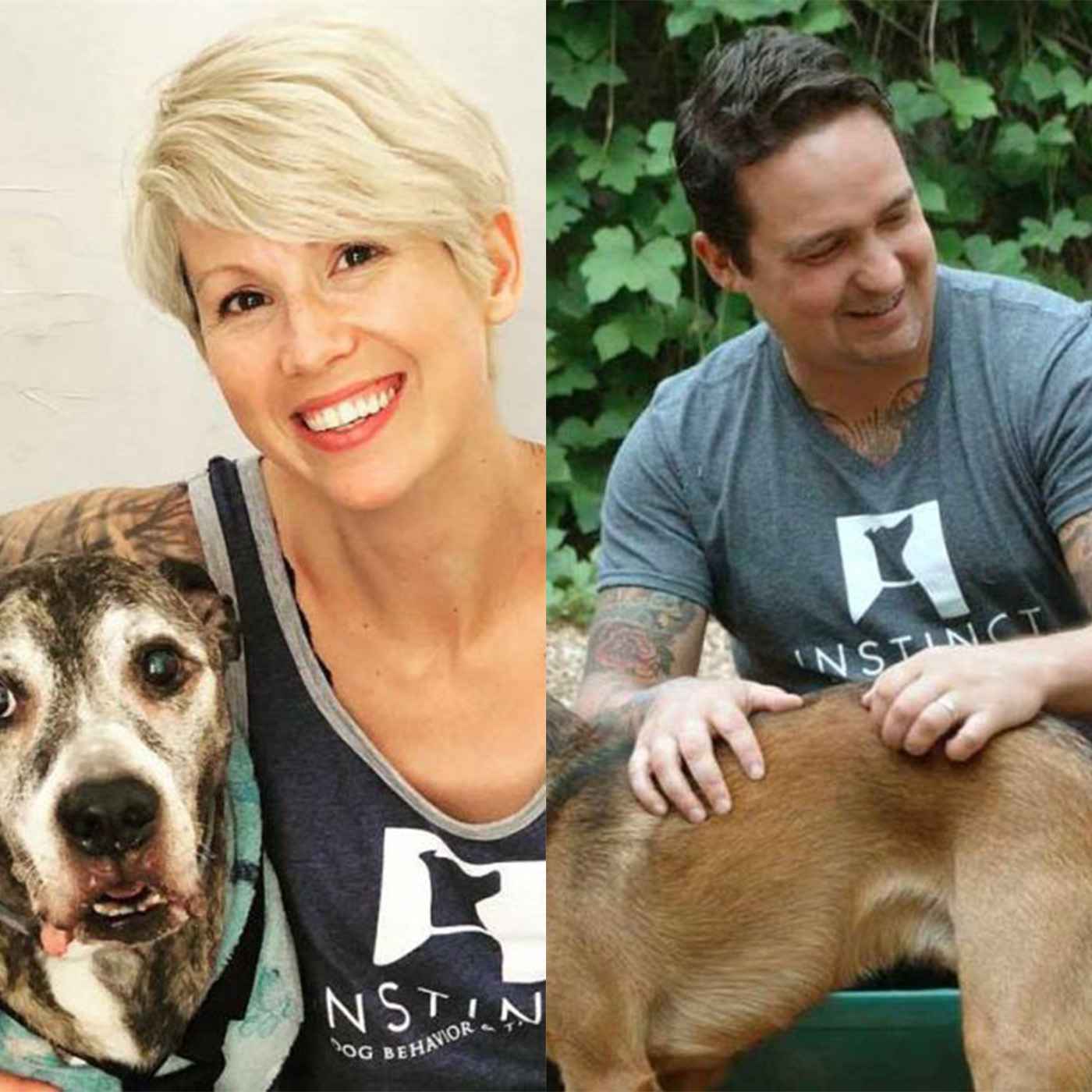 Does Your Dog's Breed Matter? | Fear Free Happy Homes