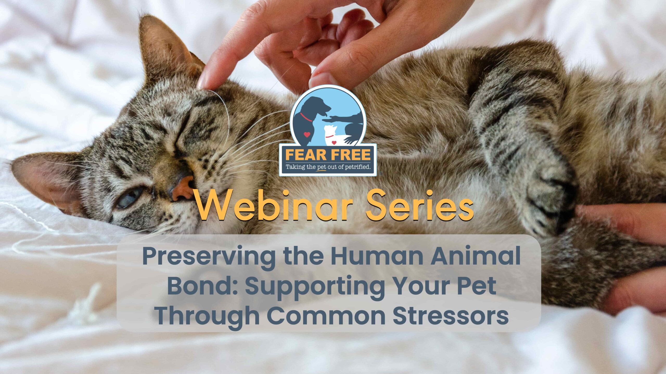 Preserving the Human Animal Bond - Supporting Your Pet Through Common ...