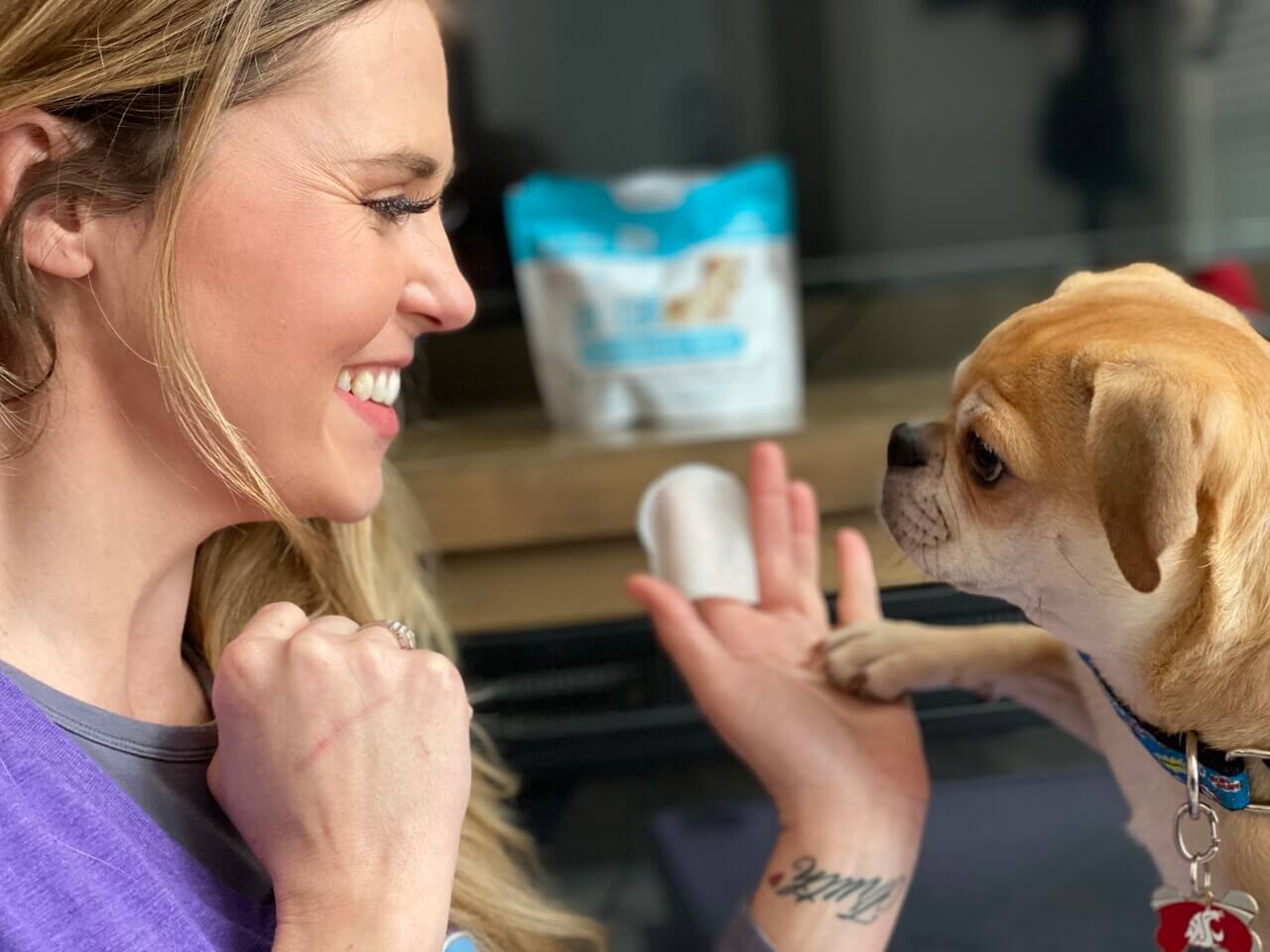 Want to Communicate Better with Your Dog? Understand How They Learn ...