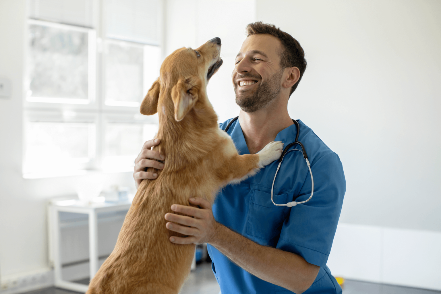 Dog Body Language 101 | Fear Free Happy Homes