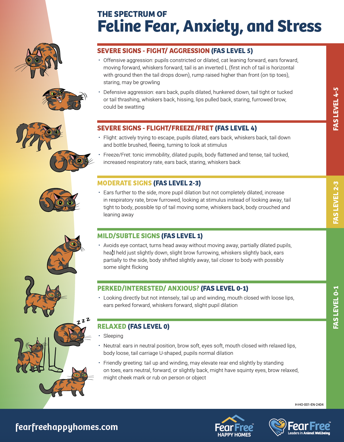 How to Recognize Fear, Anxiety, and Stress in Your Cat | Fear Free ...